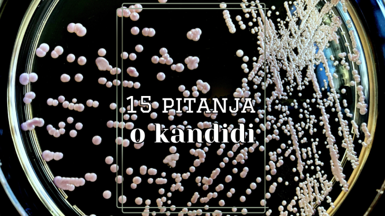 Sve o kandidi: 15 najčešćih pitanja vezanih za kandidu